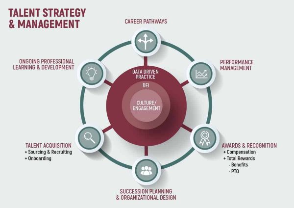 Talent Services for Nonprofit Organizations︱TalentED Advisors